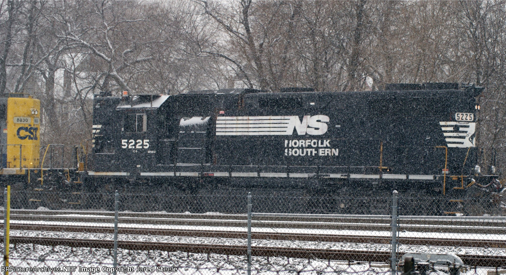 NS 5225 In the Snow